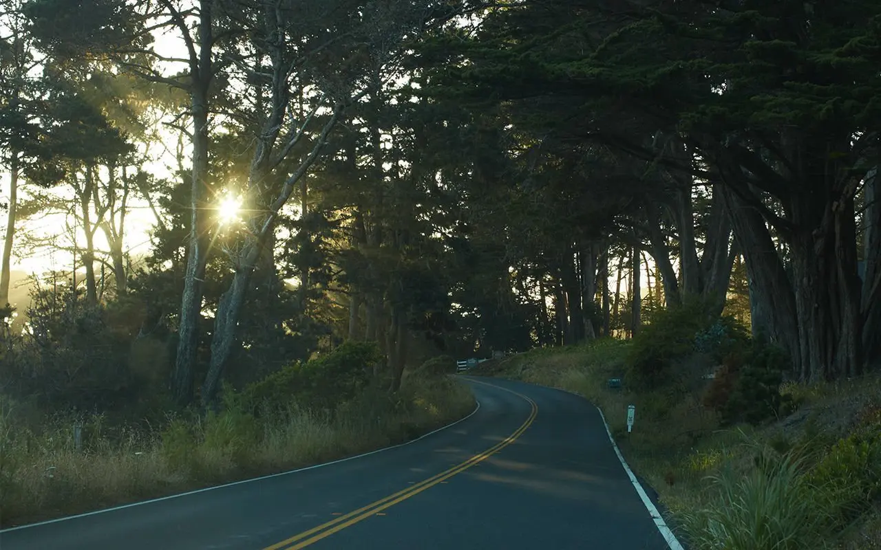 DRIVING SCENIC HIGHWAY ONE - Timber Cove